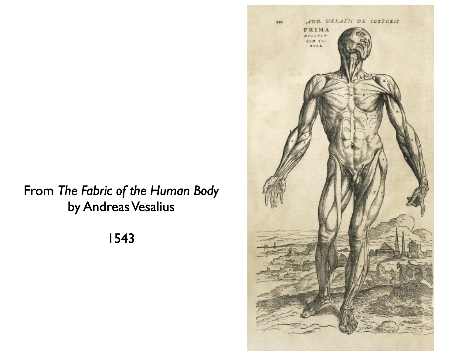 Body Mapping - MK Czerwiec